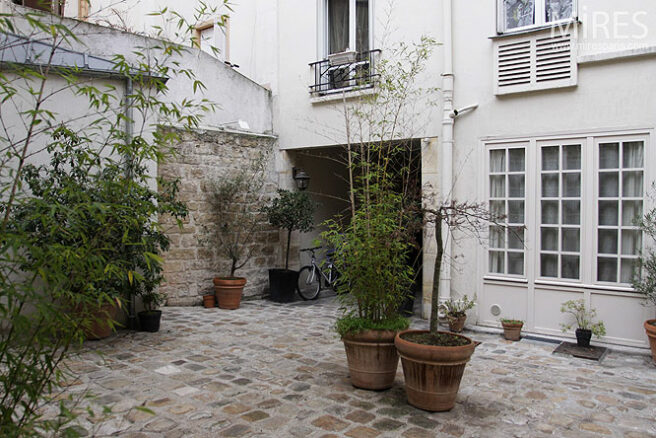 Cour parisienne. C0287 | Mires Paris