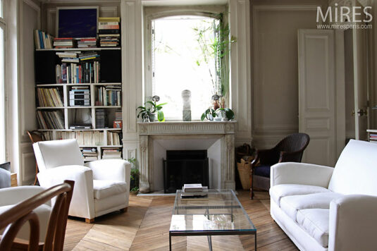 C0381 – Double séjour | Mires Paris