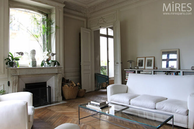 C0381 – Double séjour | Mires Paris